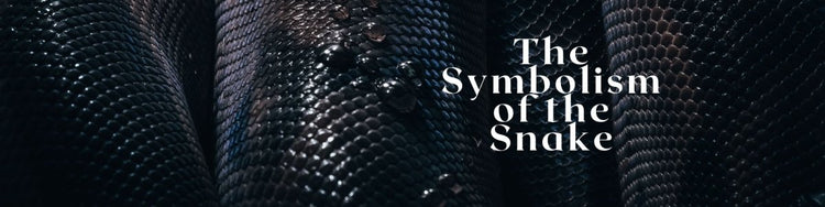 Exploring the Symbolism of Snakes: Discover Meaningful Wall Art ...