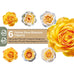 Yellow Rose Blossom 6+6 PNG Bundle for Sublimation Clipart - Everything ...